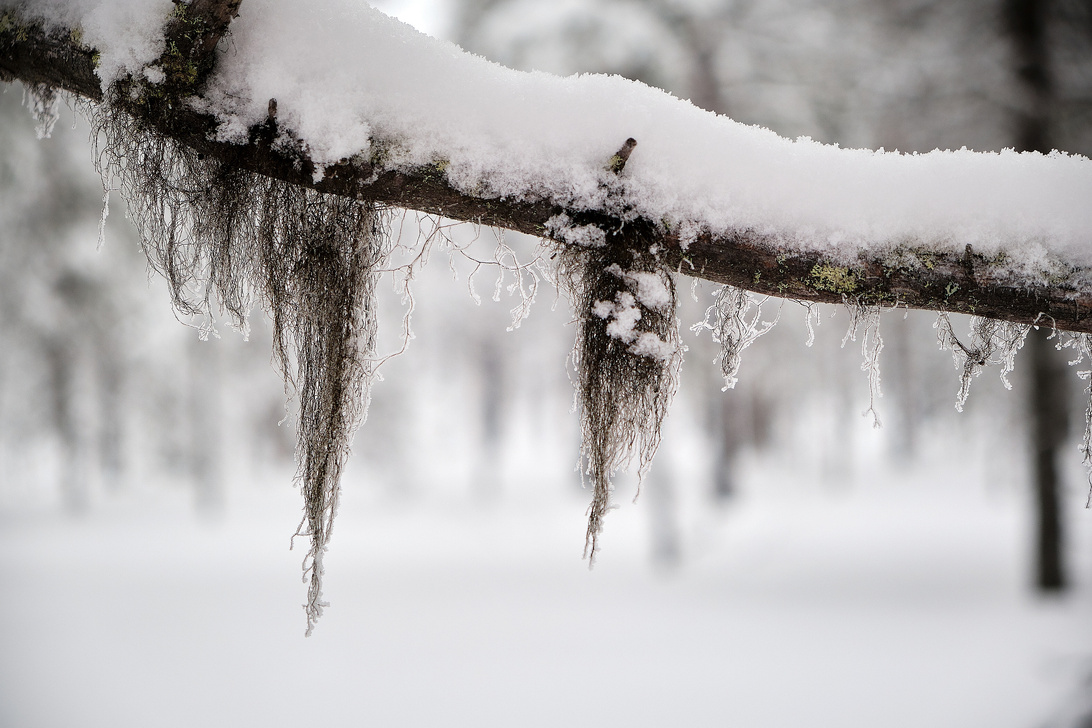 Fuji X-Bokeh Freitag – Bilder nur freitags, jeder nur ein Bild! - Seite ...